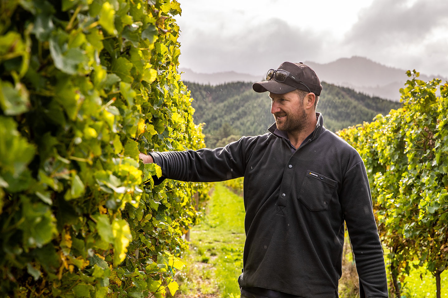 Over The Fence - Goldpine