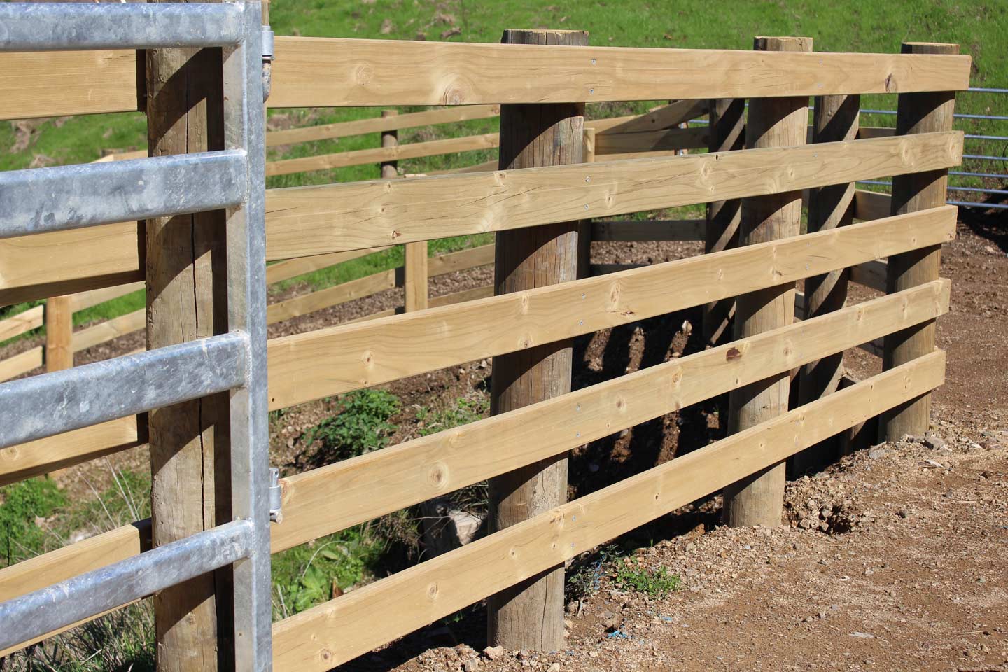 Farm Rails - Goldpine
